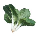 Black Behi · Kaneko Seeds Philippines : Kaneko Seeds Philippines