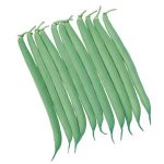 Mayabong · Kaneko Seeds Philippines : Kaneko Seeds Philippines